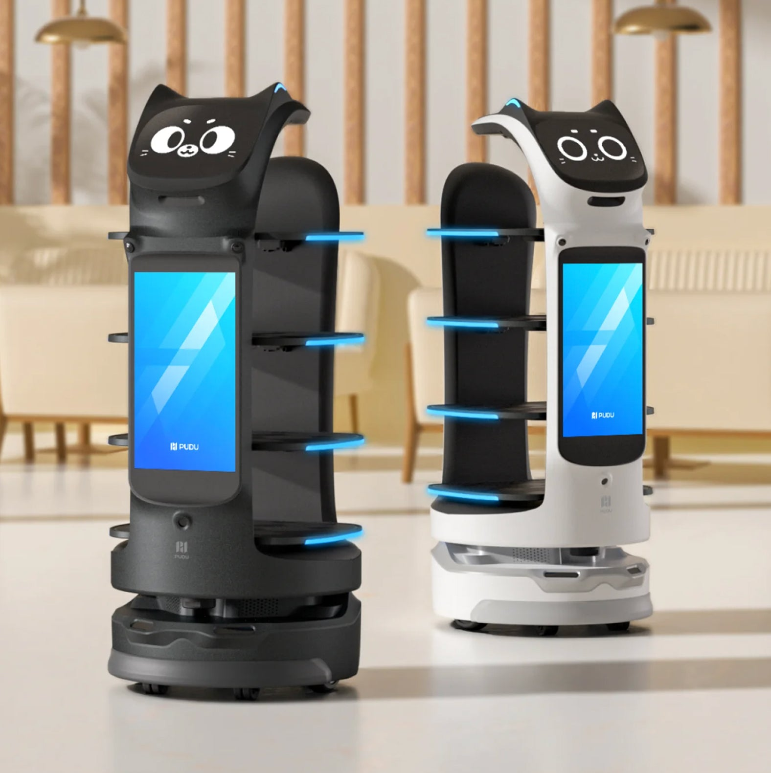 Delivery Robots